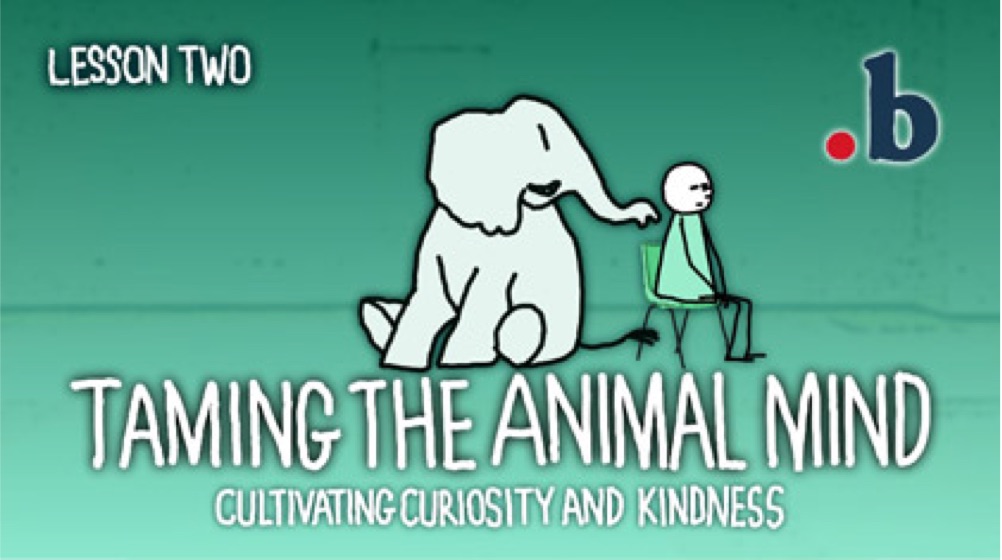 .b Curriculum (ages 11 – 18) - Mindfulness in Schools Project